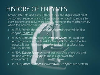 Enzymes | PPTX