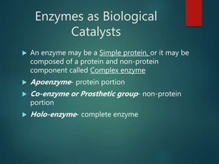 Enzymes | PPTX