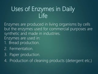 Enzyme Examples In Everyday Life