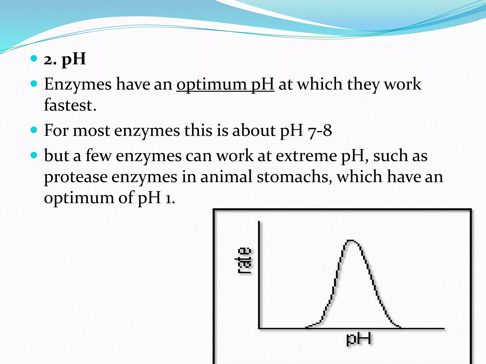 Enzymes | PPTX