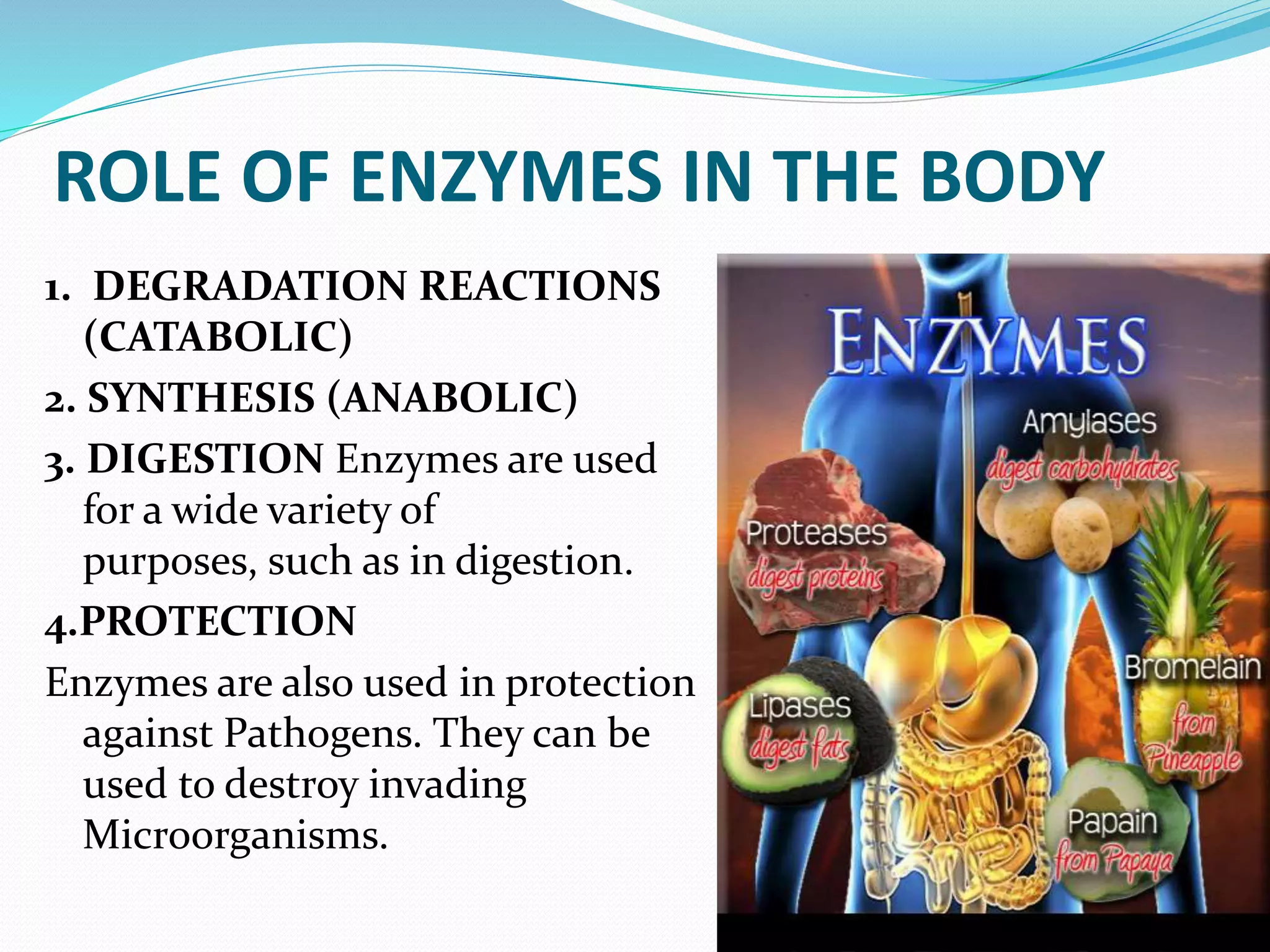 Enzymes | PPTX