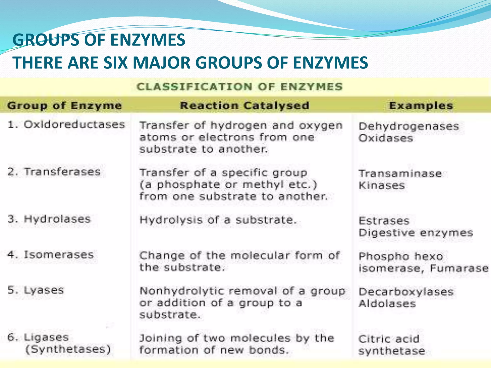 Enzymes | PPTX