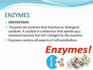Enzymes | PPTX