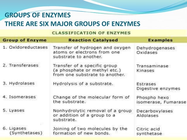 Enzymes | PPTX