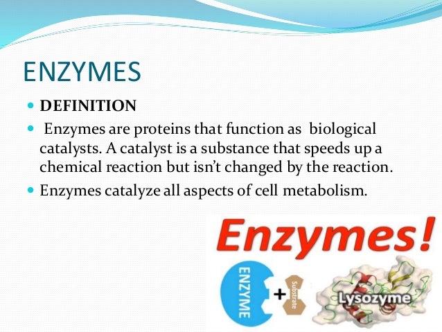 Chem Enzyme Examples