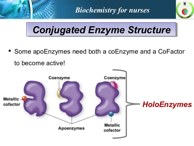 Enzymes