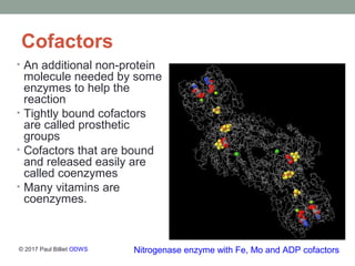 Enzymes | PPT