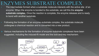 Enzyme substrate complex and enzyme action. | PPTX