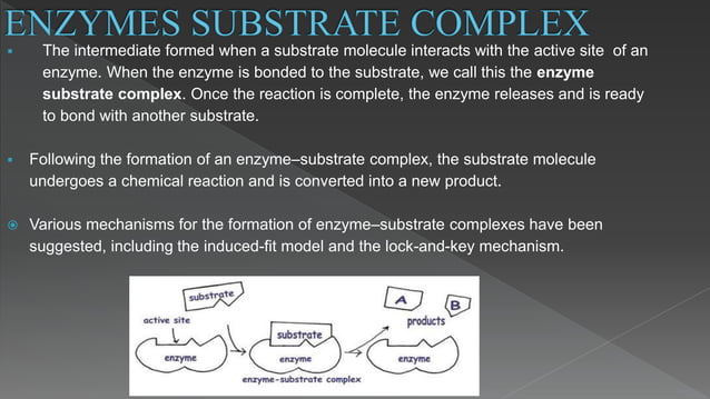Enzyme substrate complex and enzyme action. | PPTX