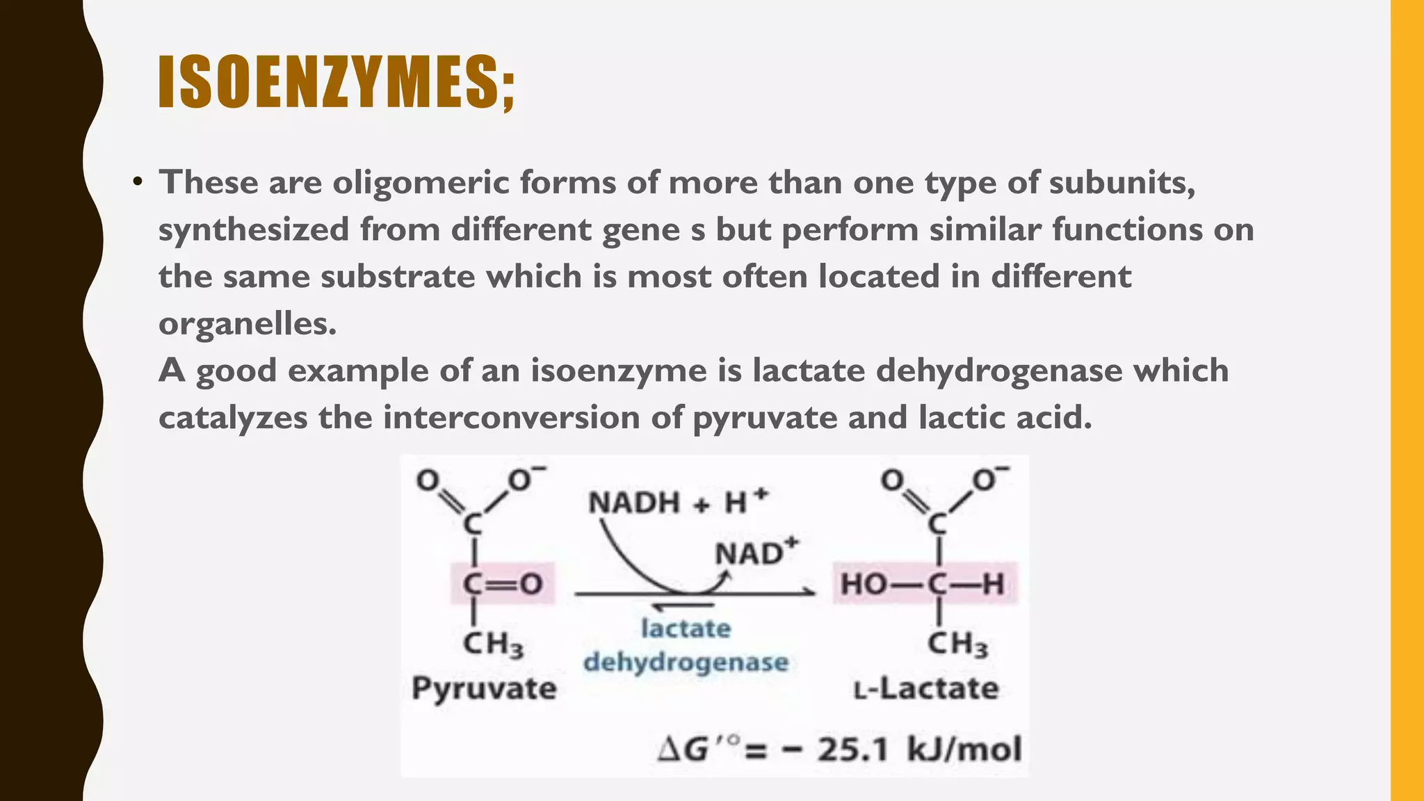 Enzymes, coenzymes and isoenzymes | PDF
