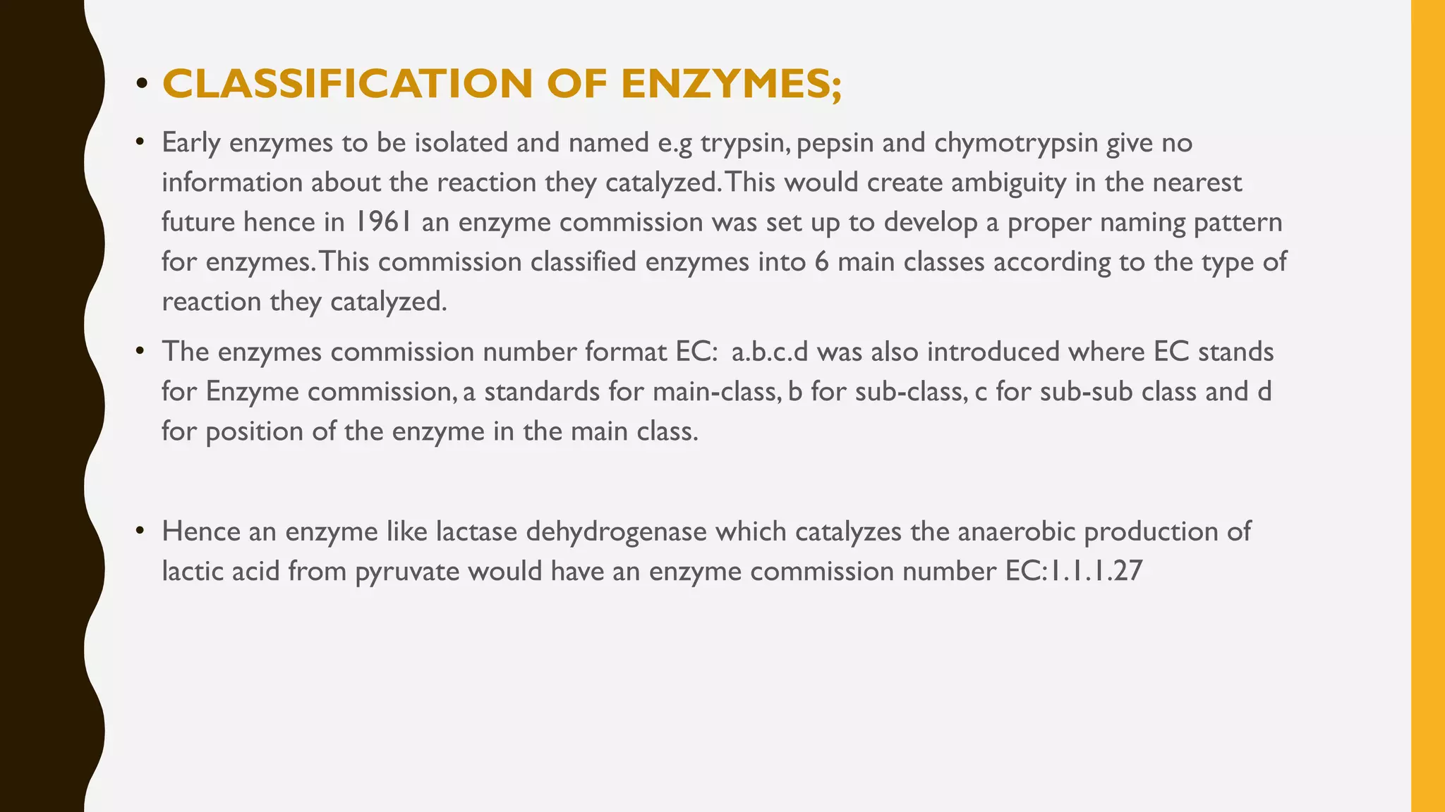 Enzymes, coenzymes and isoenzymes | PDF