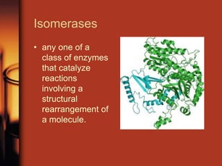 Enzymes | PPT