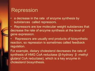 Enzymes | PPT