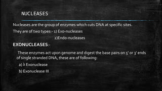 Enzymes involved in Genetic engineering and in central dogma. | PPTX