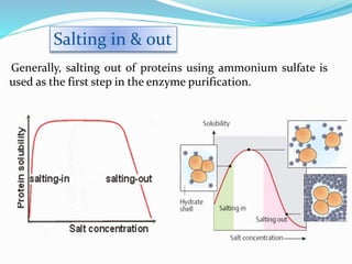 Enzymes | PPTX | Chemistry | Science