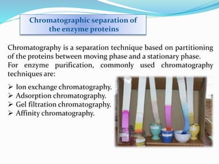 Enzymes | PPTX