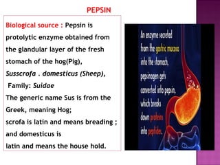 ENZYMES | PPT