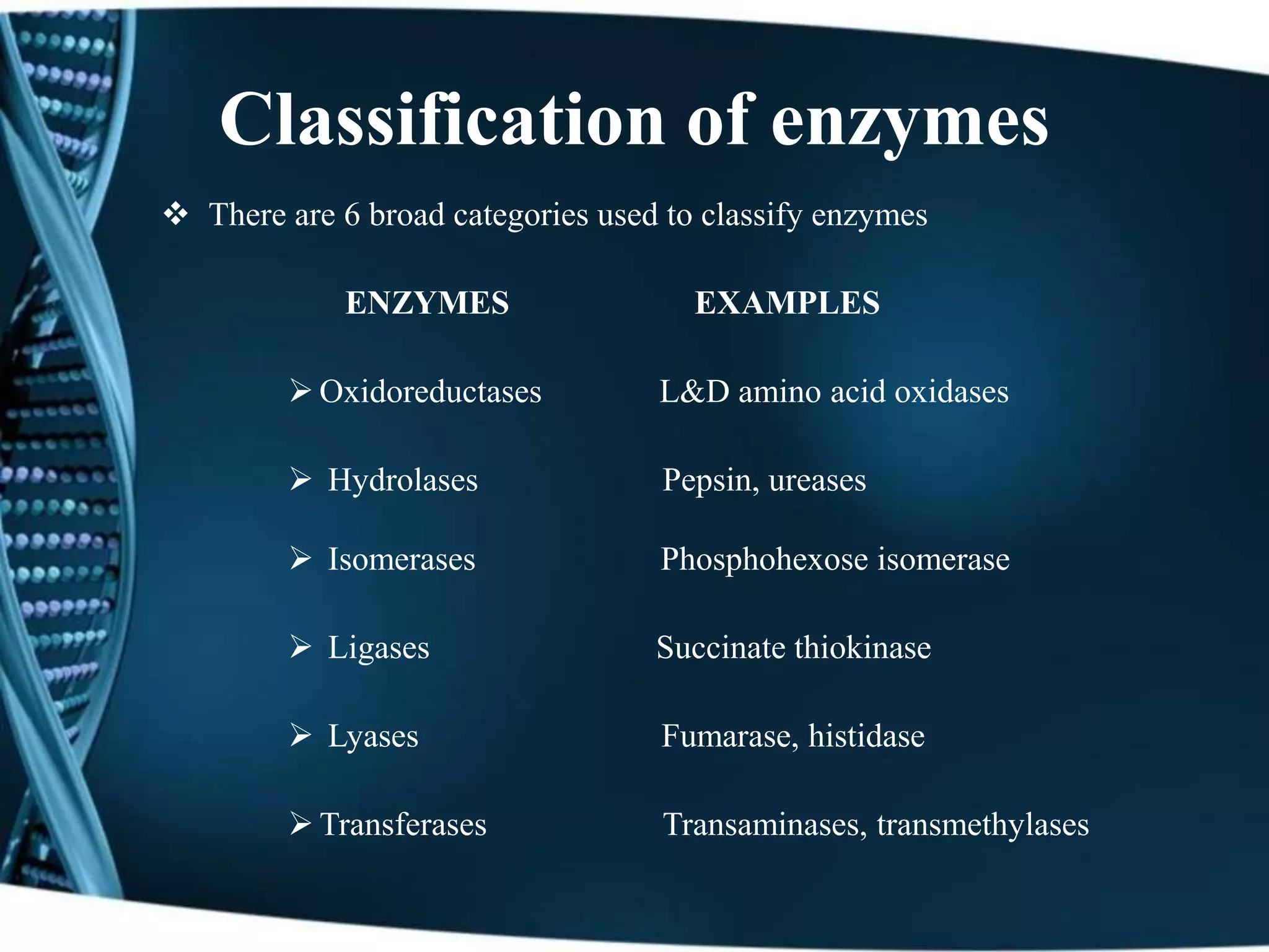 Enzymes | PPTX