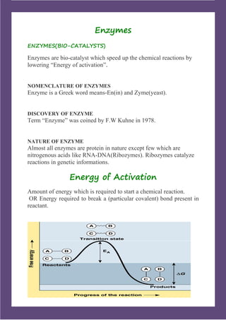 Enzymes | PDF
