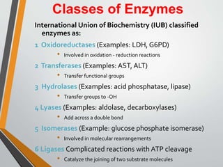 Enzymes-1 Biochemistry | PPT