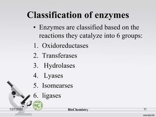 Enzymes.ppt