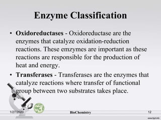 Enzymes.ppt | Free Download