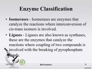 Enzymes.ppt