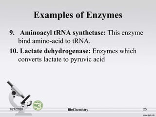 Enzymes.ppt