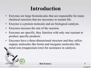 Enzymes.ppt