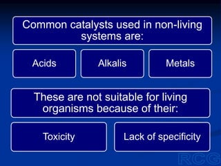 Enzymes - The biological catalysts | PPTX
