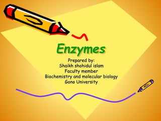 Enzyme | PPT