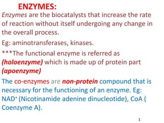 Enzymes | PPT