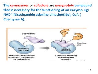 Enzymes Pptx