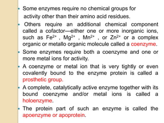 Enzymes | PPTX