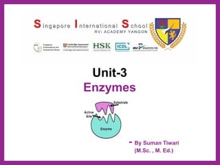 Enzymes | PDF