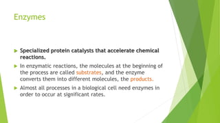 Enzymes | PPT