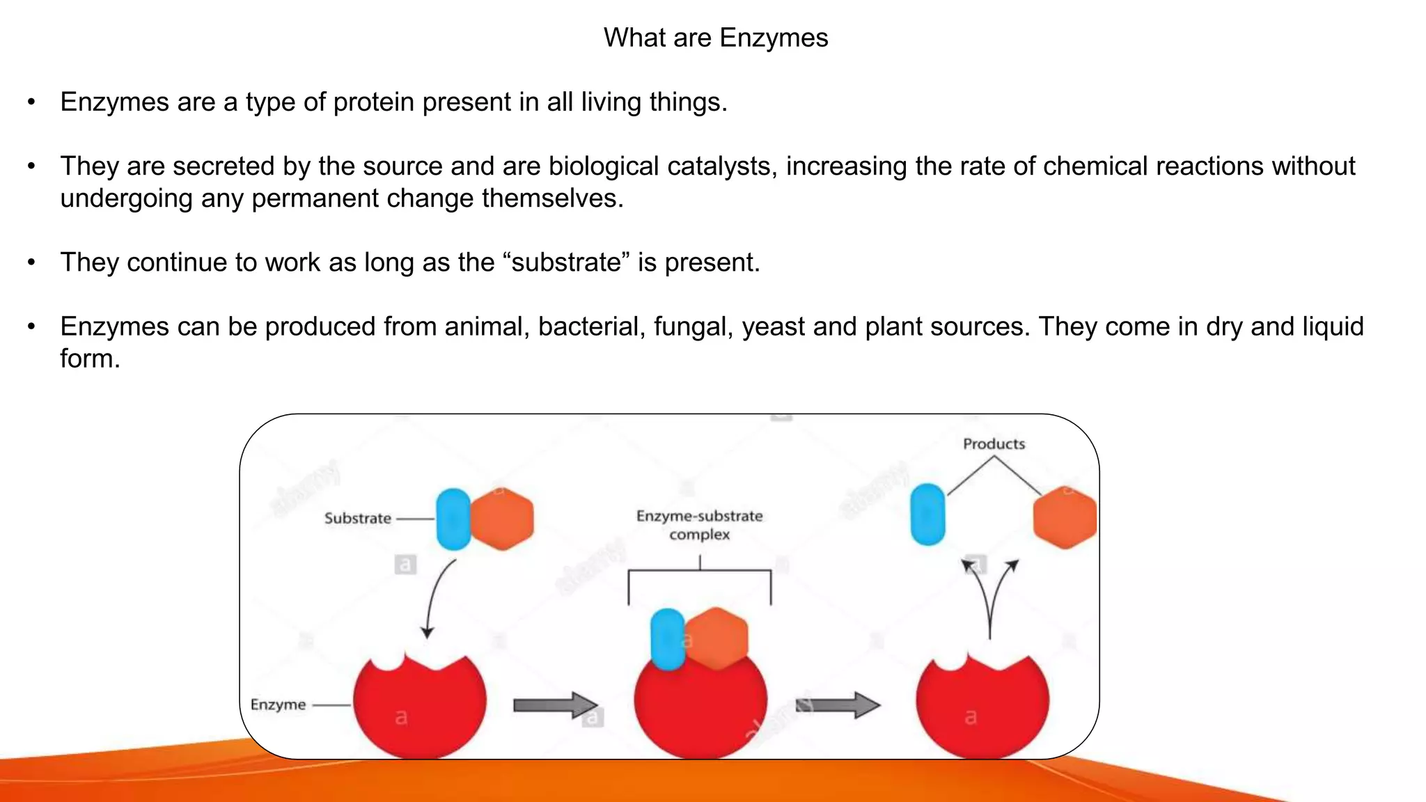 Application of enzymes in food industry | PPTX