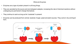 Application of enzymes in food industry | PPTX