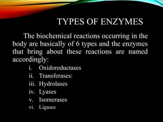 Enzymes | Types of enzyme | Mechanism of Reaction | Importance of ...