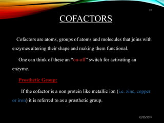 Enzymes | Types of enzyme | Mechanism of Reaction | Importance of ...