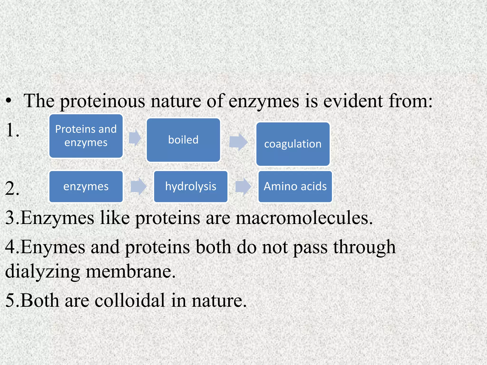 Enzymes | PPTX