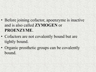 Enzymes | PPTX | Chemistry | Science