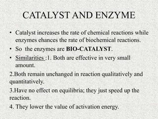 Enzymes | PPTX