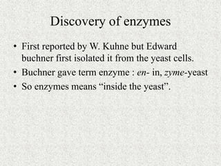 Enzymes | PPTX | Chemistry | Science