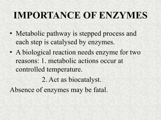 Enzymes | PPTX | Chemistry | Science