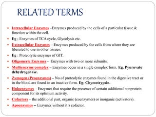 Enzymes | PPT