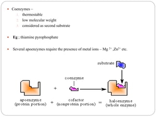 Enzymes | PPT