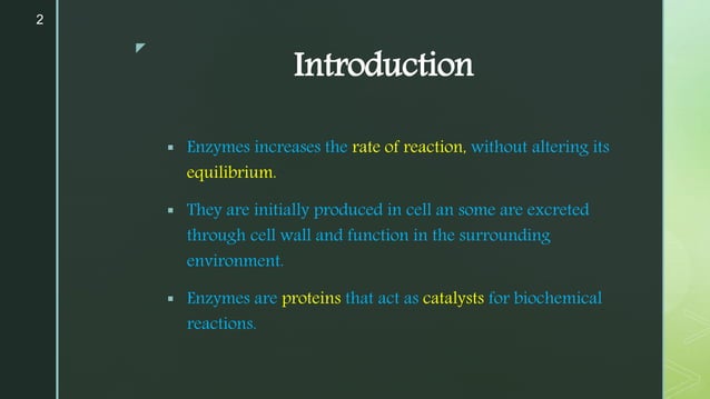 Enzymes | PPT