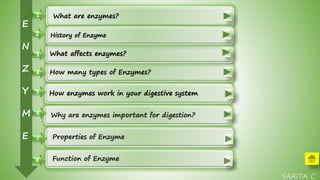 Enzymes By - Sarita Chourasia | PPT