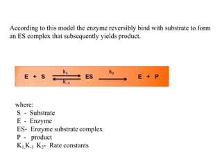 Enzymes | PPT